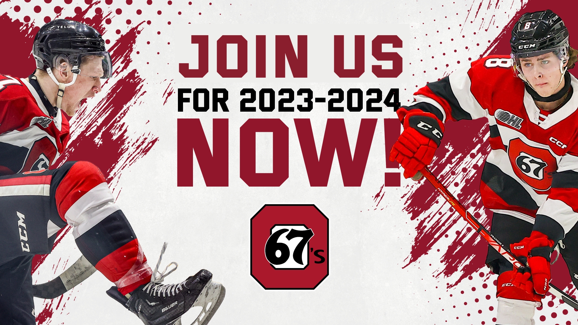 67's promote Jan Egert to Associate General Manager with multi-year ...