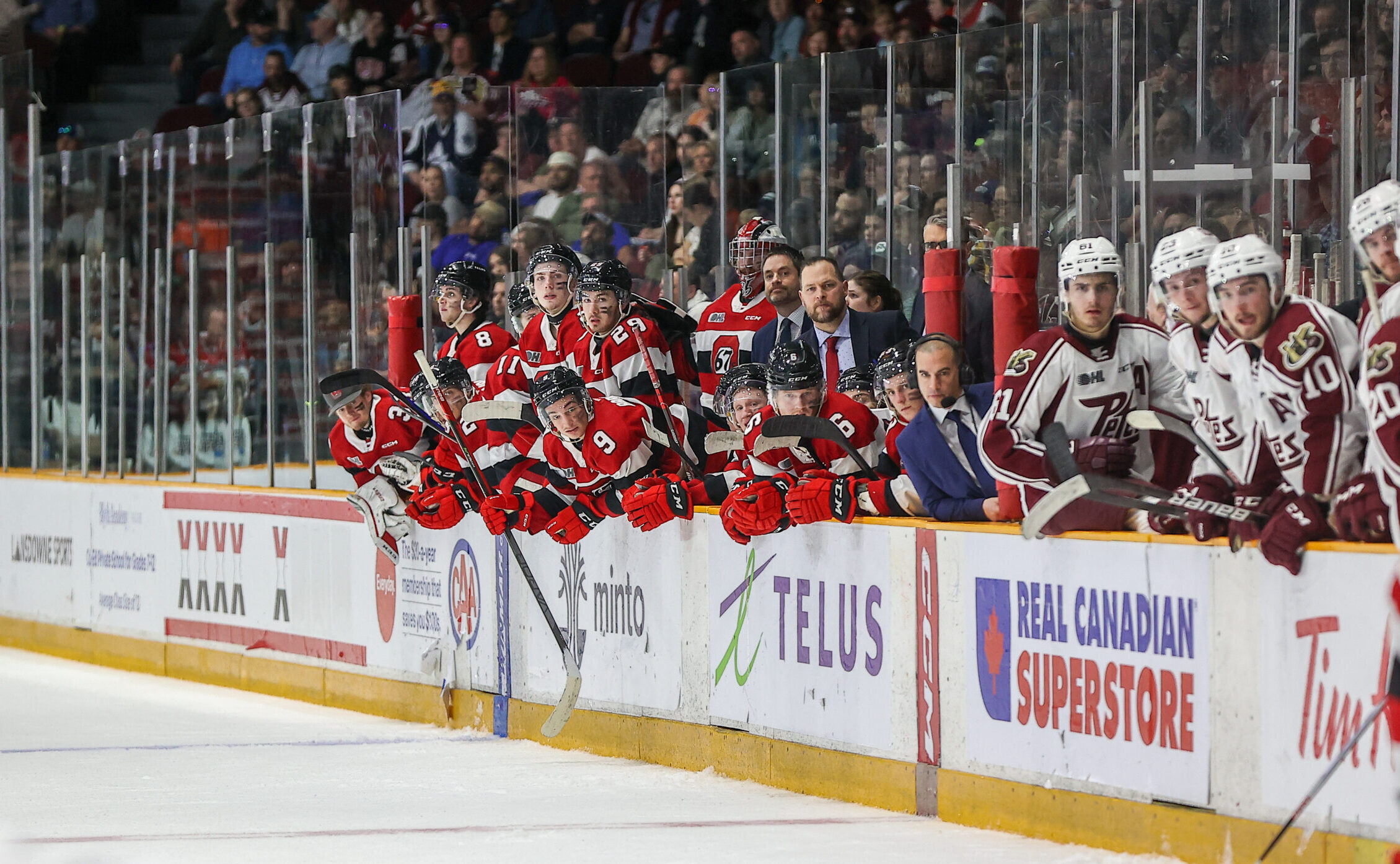 Ticket Options - Ottawa 67s