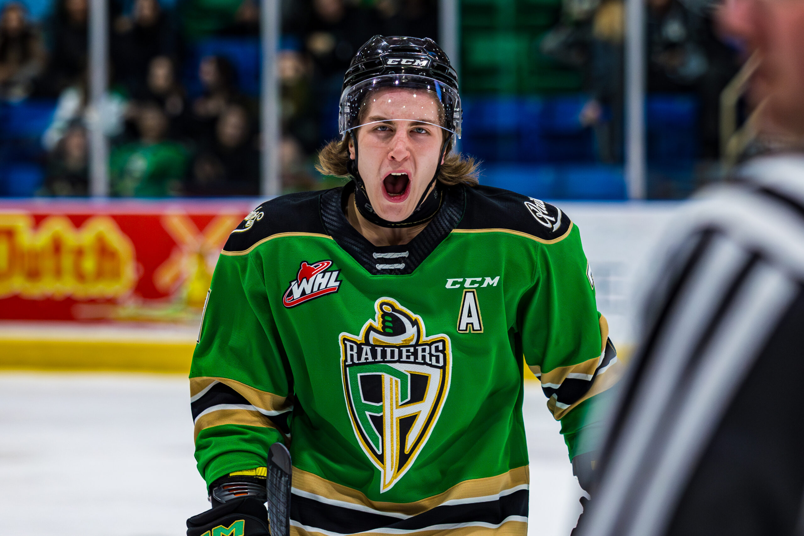 Prince Albert Raiders