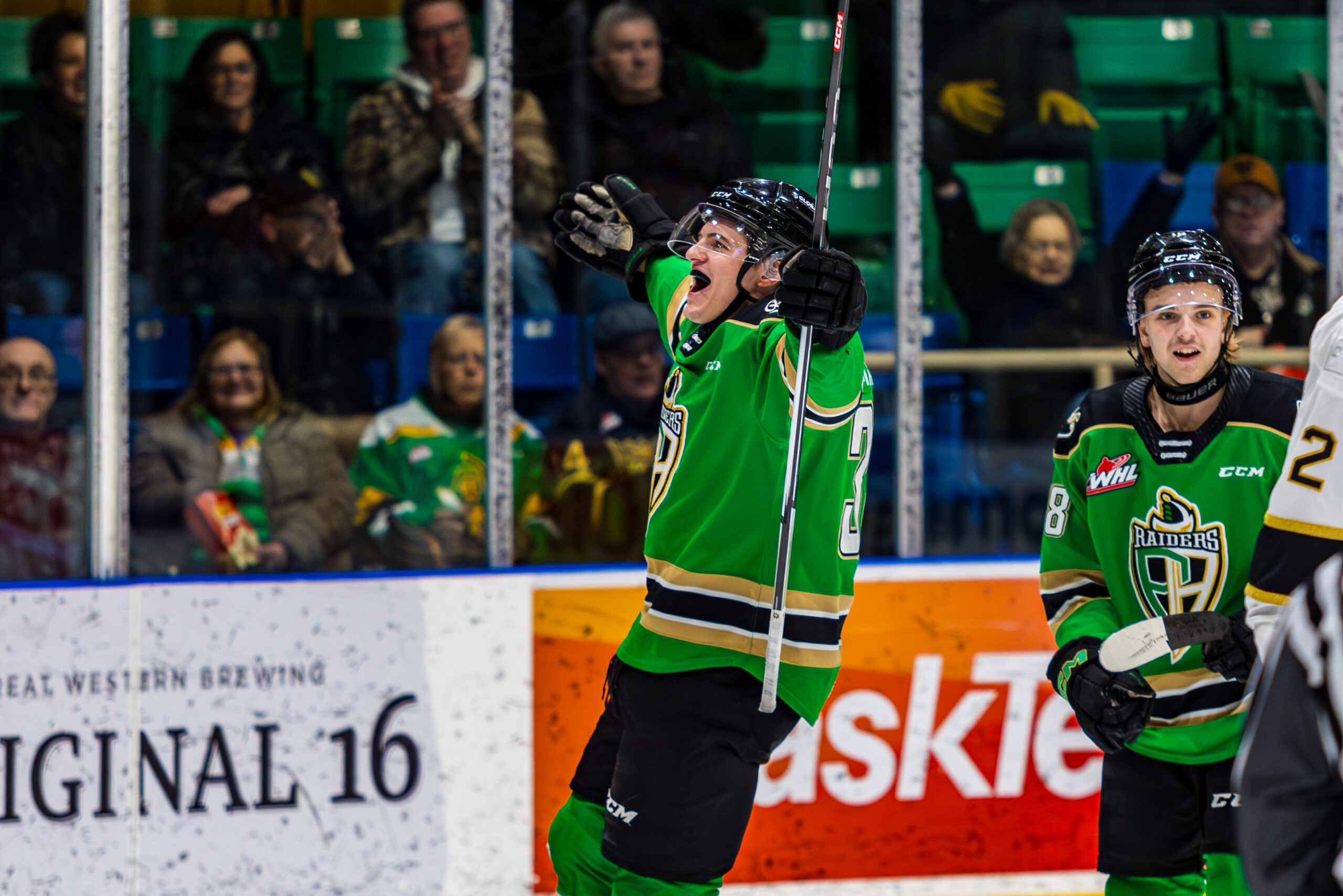 Prince Albert Raiders