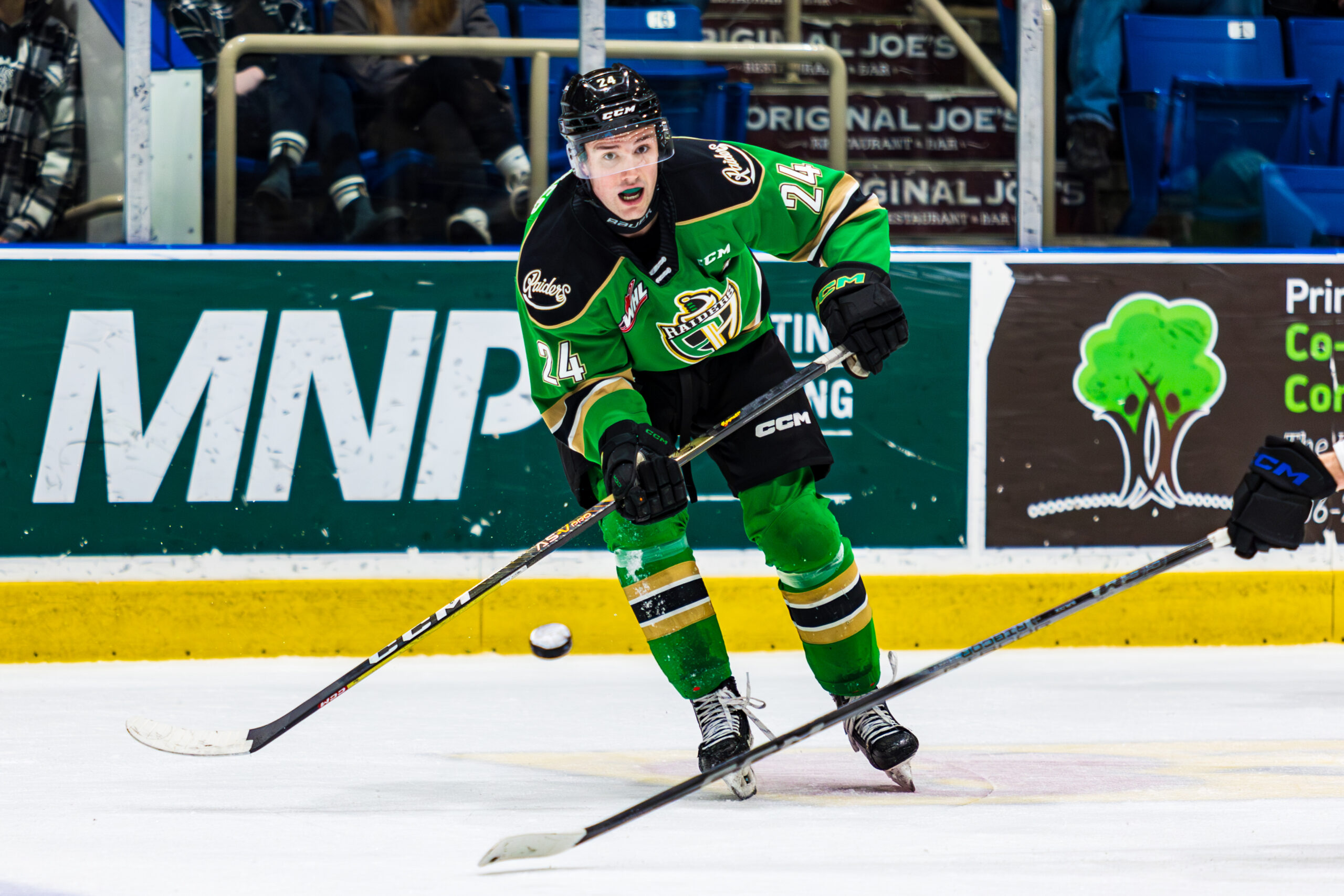 Prince Albert Raiders