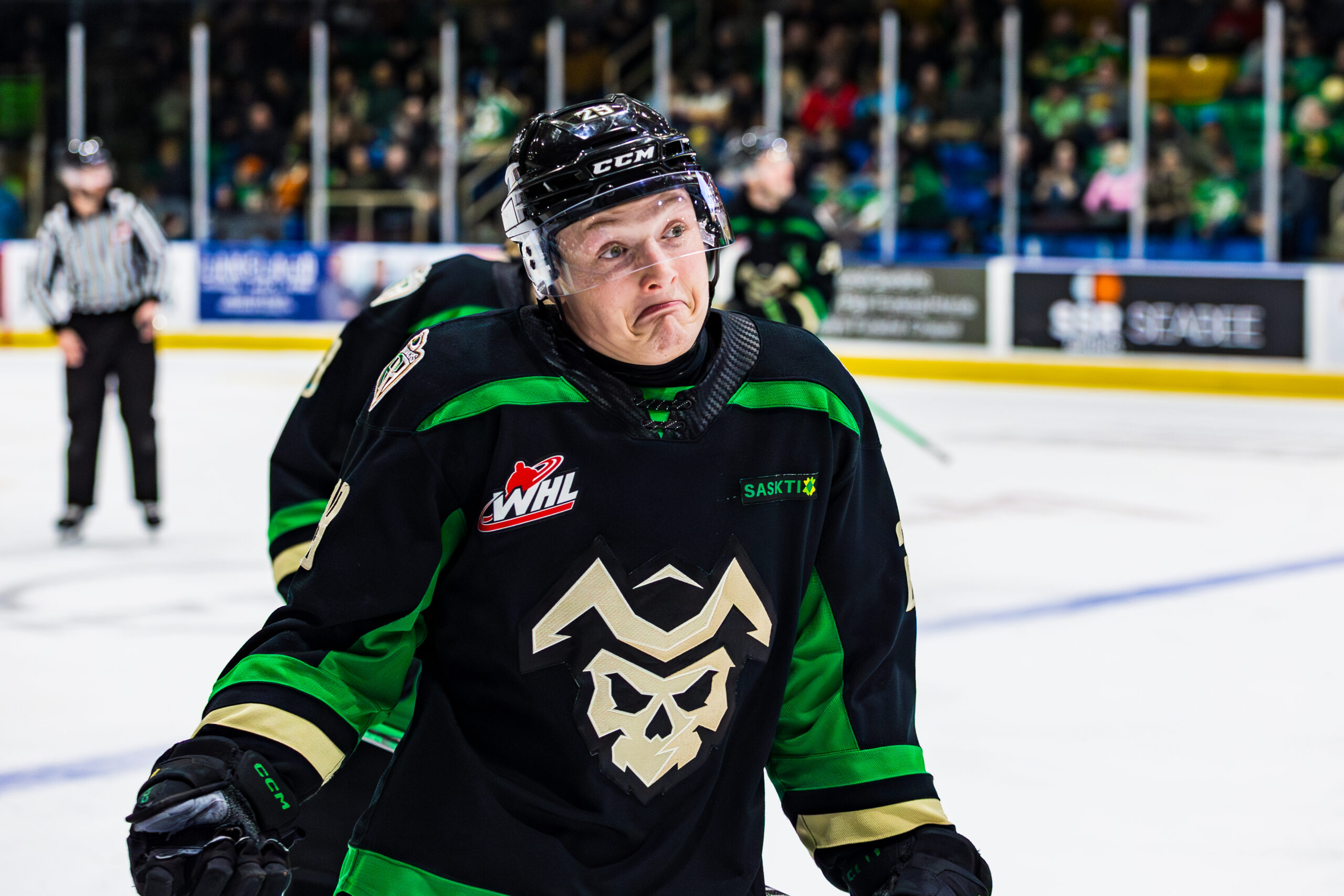 Prince Albert Raiders