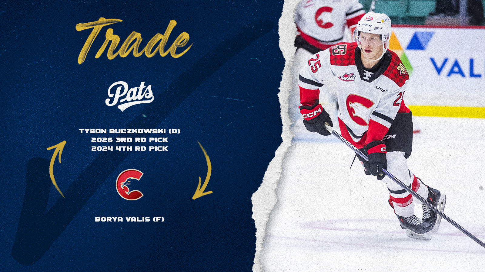 Pats Deal Valis To Cougars For Former First Round Pick Buczkowski & Two ...