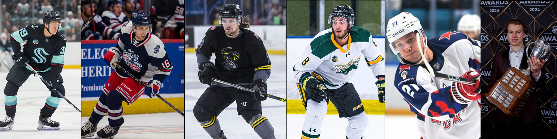 Alumni Player Status - Regina Pats