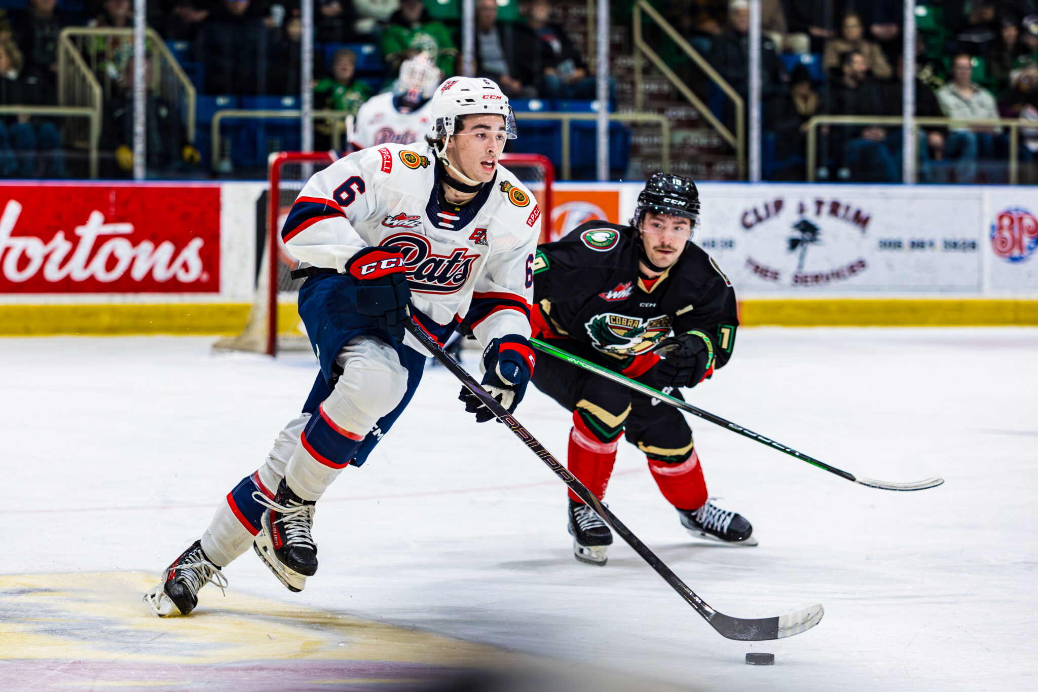 Player Profile: Reese Hamilton - Regina Pats