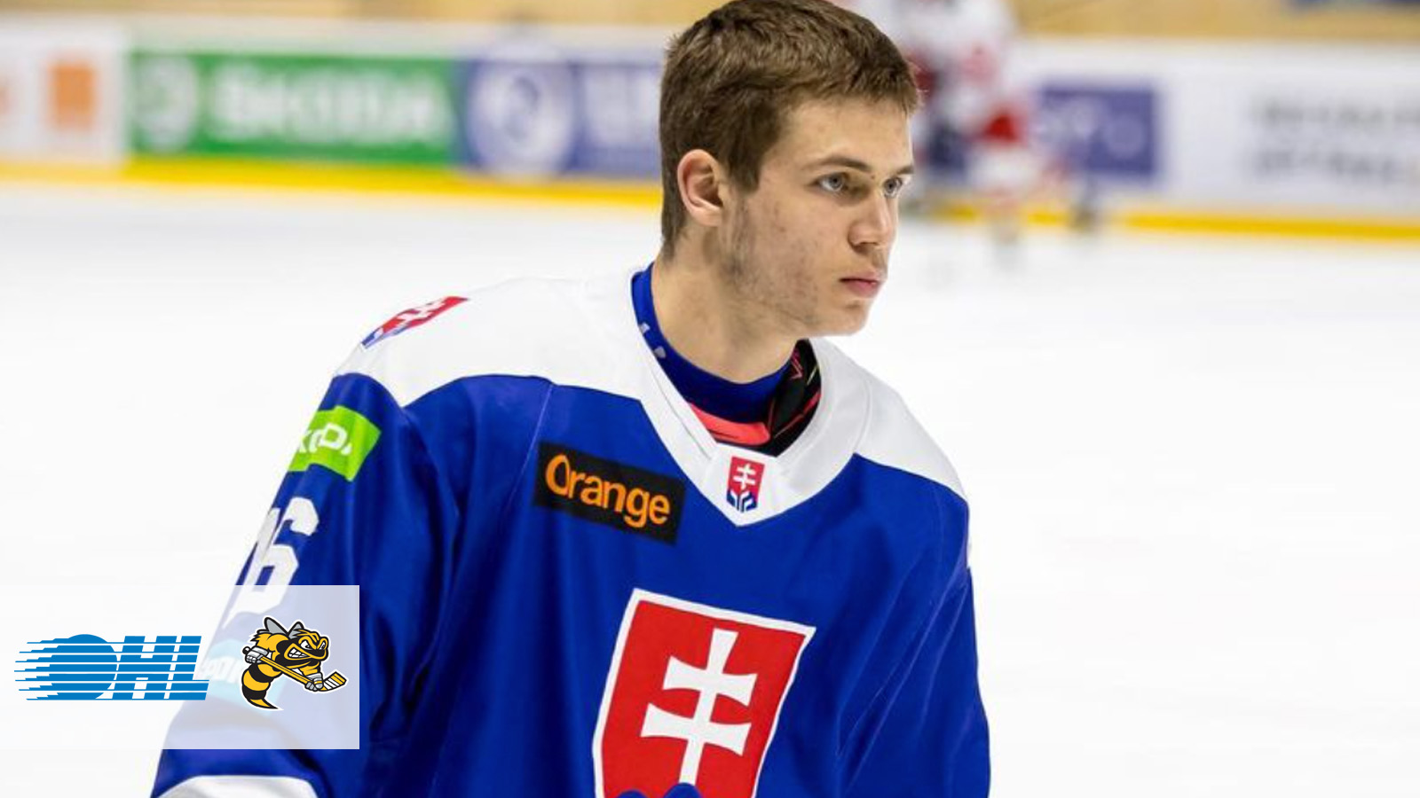 Slovak forward Roman Kukumberg commits to Sting - Ontario Hockey League