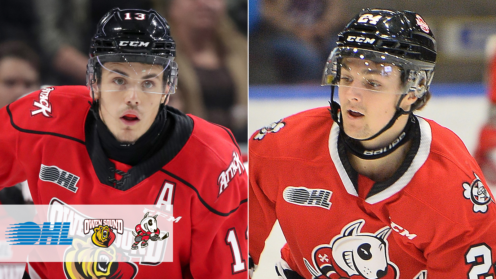 Bryant, Waddick in new surroundings to begin 2023-24 - Ontario Hockey ...