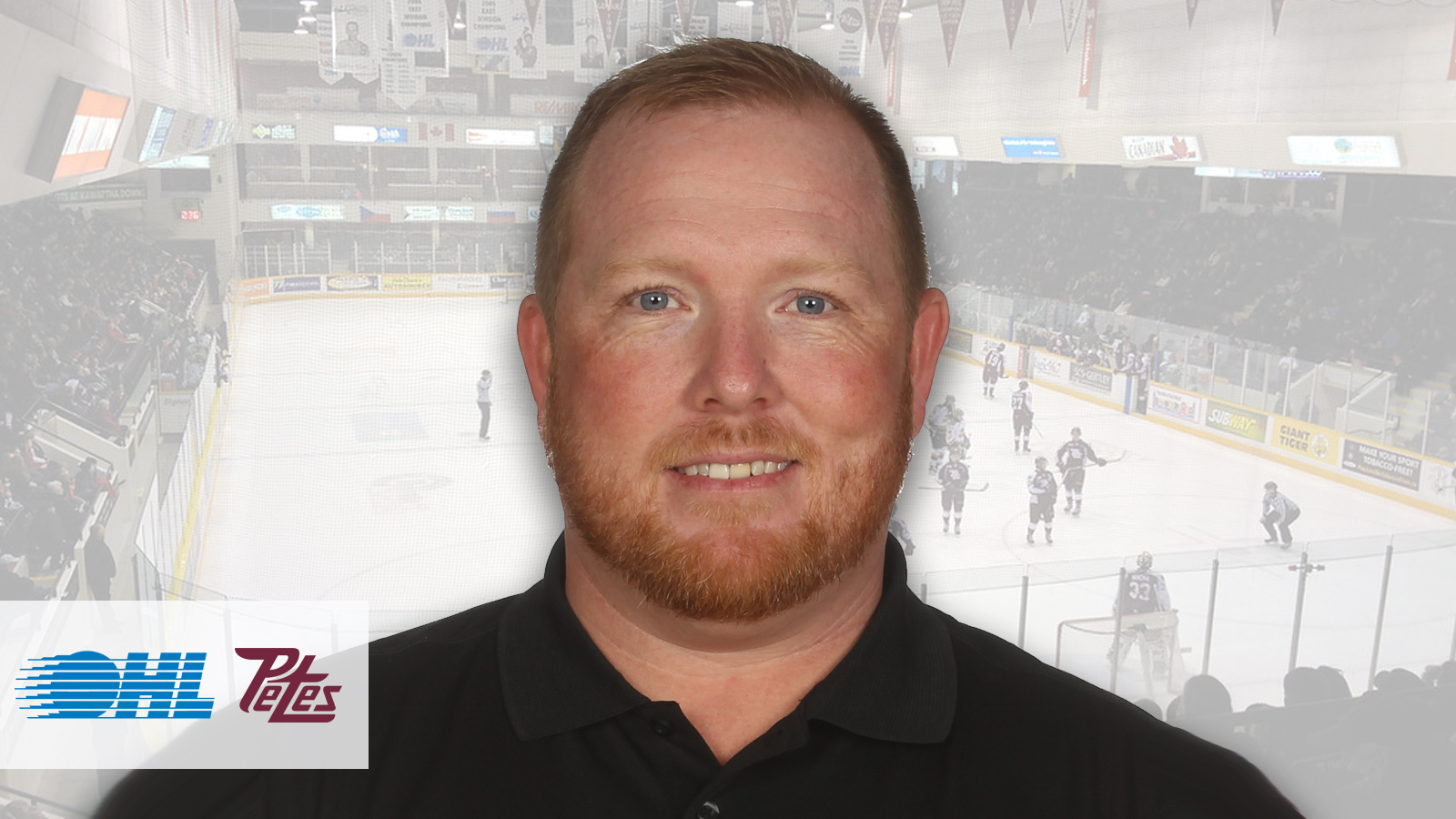 Petes hire Nate Oke as Assistant Coach - Ontario Hockey League