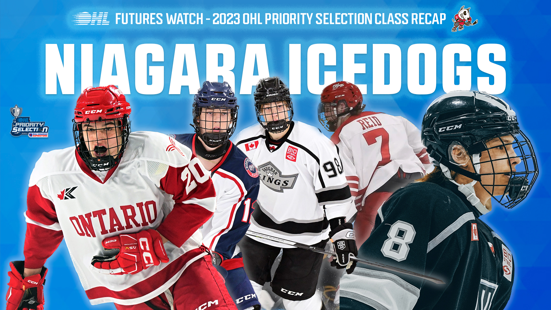 Futures Watch: Niagara IceDogs - Ontario Hockey League