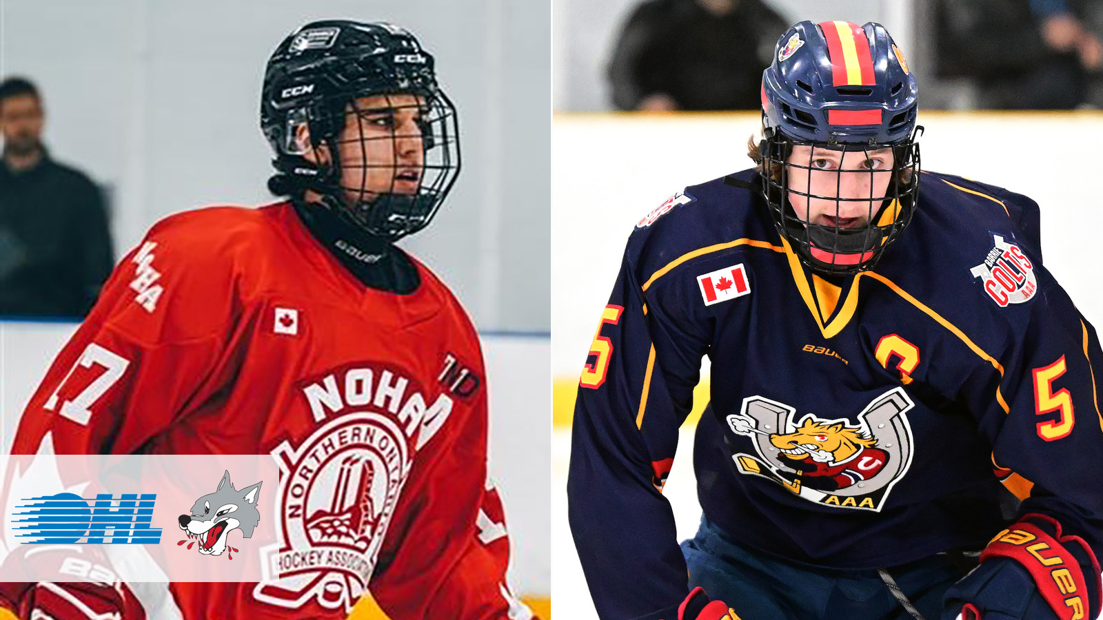 Wolves sign 2023 selections Chitaroni, Jackson - Ontario Hockey League