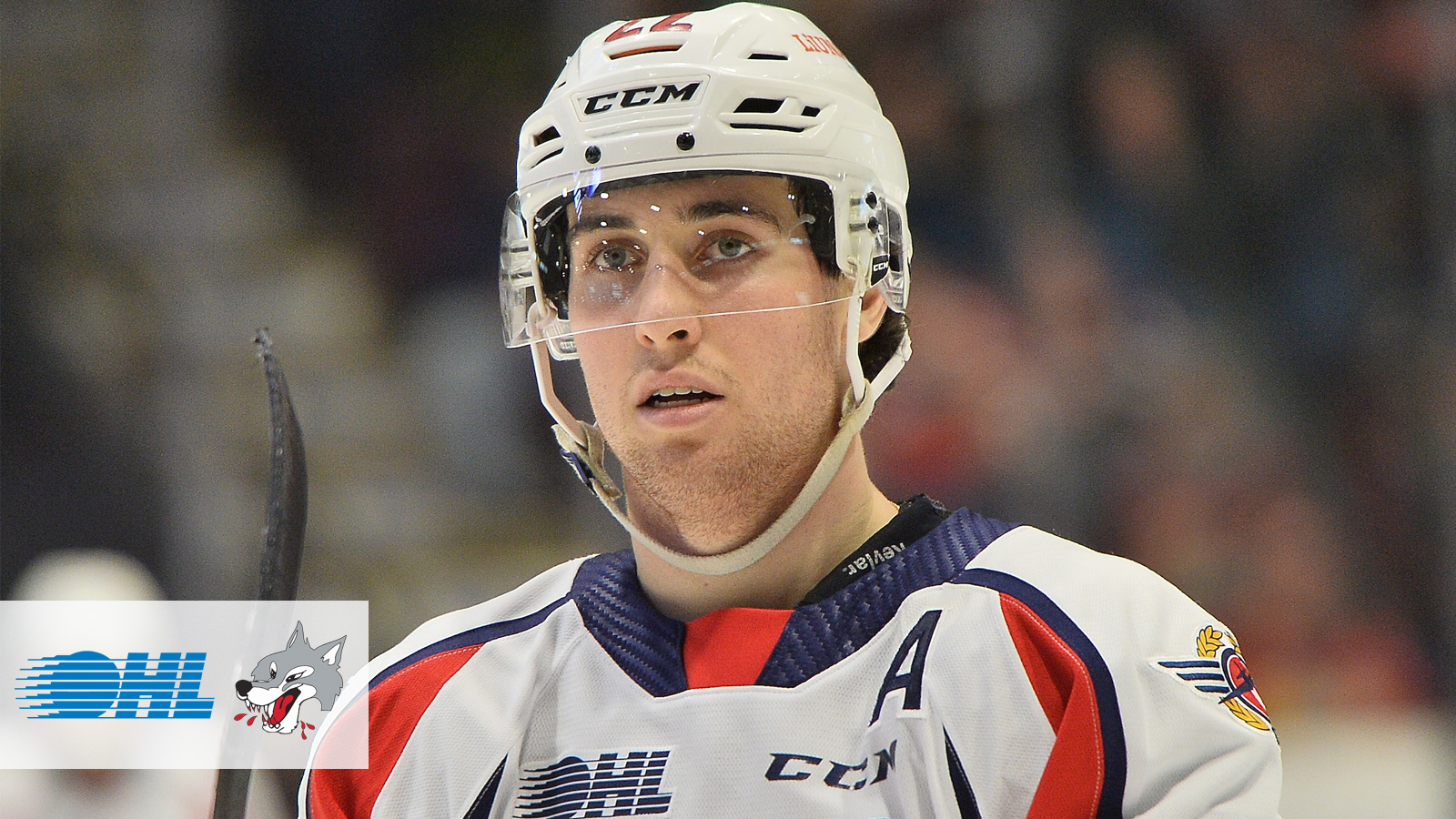 Wolves acquire veteran blueliner DeAngelis in trade with Windsor ...