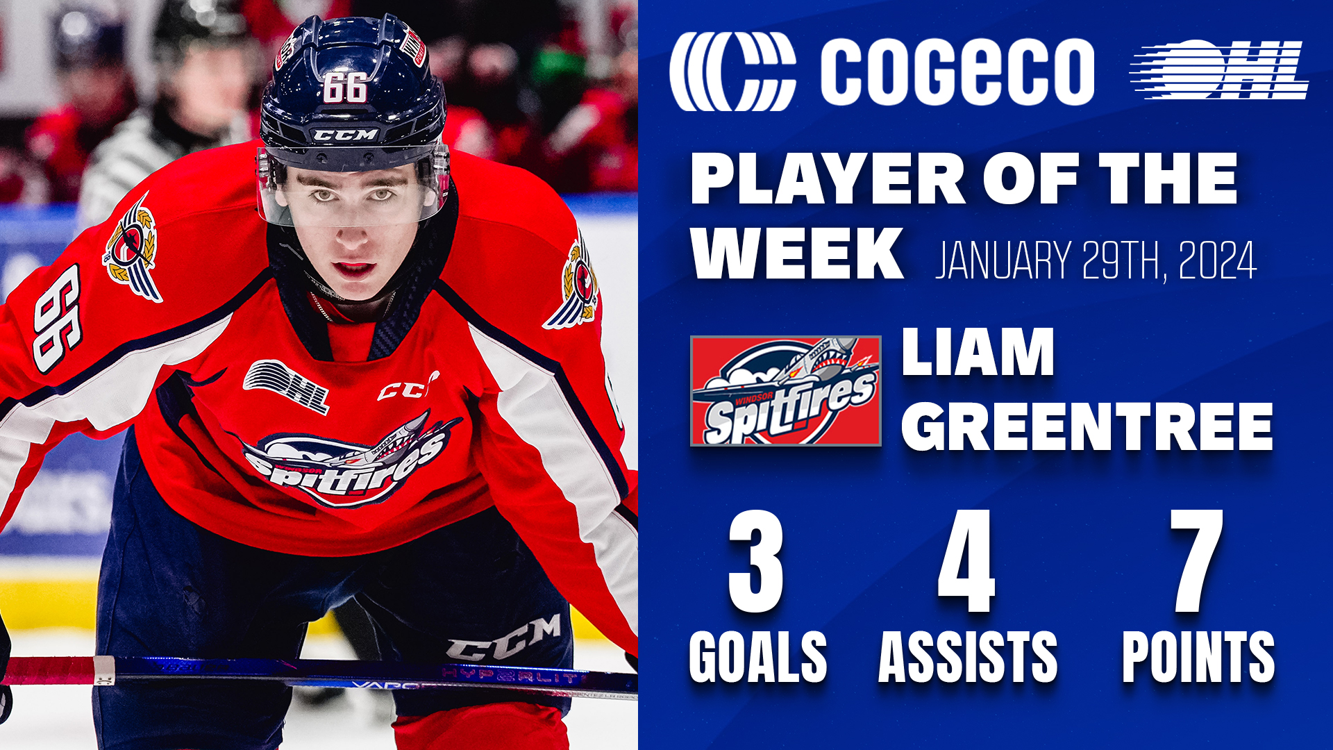 Spitfires' Liam Greentree named Cogeco OHL Player of the Week - Ontario ... Spitfires' Liam Greentree named Cogeco OHL Player of the Week - Ontario ...