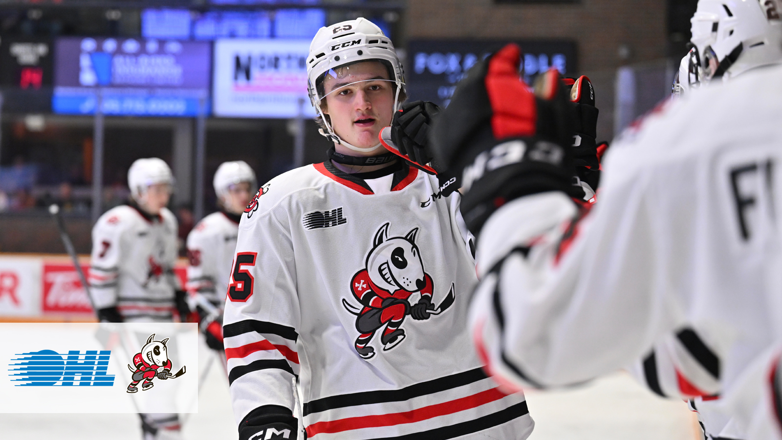 Roobroeck establishes new IceDogs rookie goal-scoring mark - Ontario ...