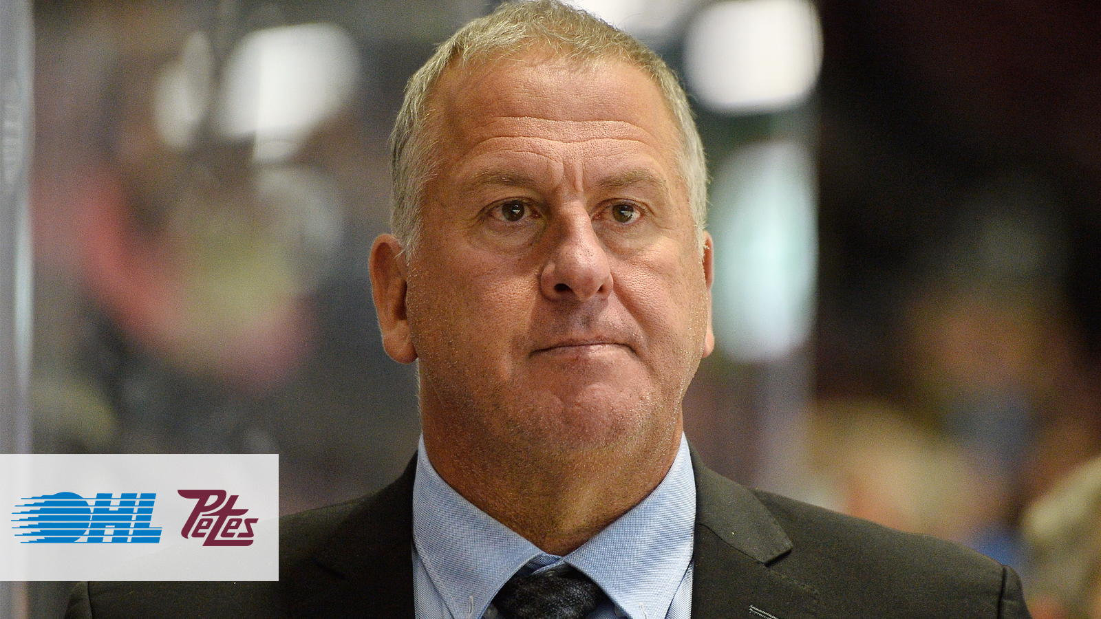 Petes ink Head Coach Rob Wilson to eight-year extension - Ontario ...