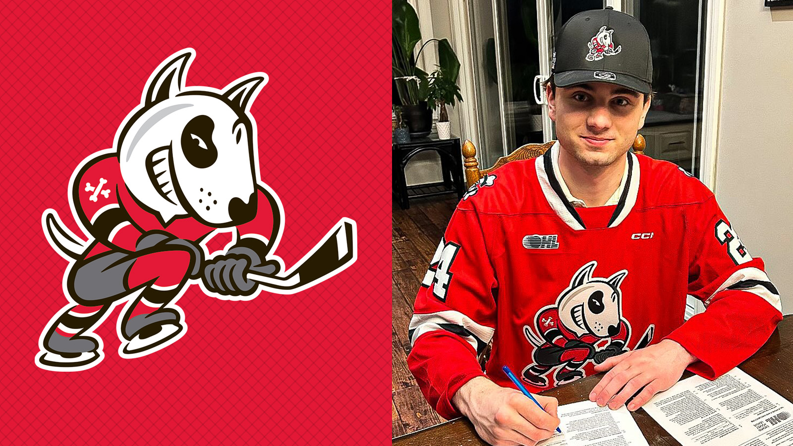 Nicholas Frasca commits to IceDogs - Ontario Hockey League