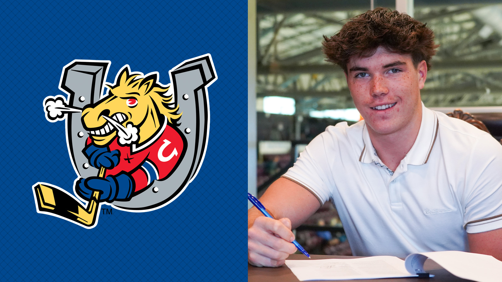 Colts sign forward Jonah McCormick - Ontario Hockey League