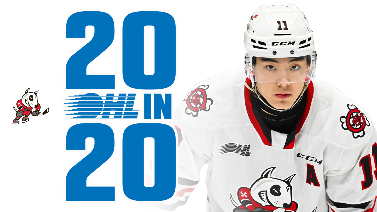 OHL 20 in 20: Niagara IceDogs - Ontario Hockey League