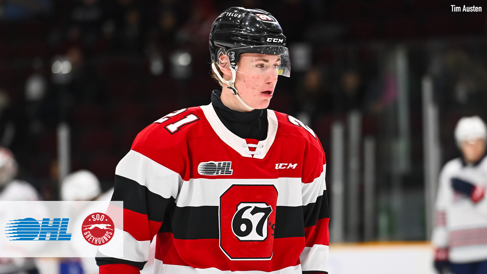 Hounds get bigger with addition of Charlie Hilton - Ontario Hockey League