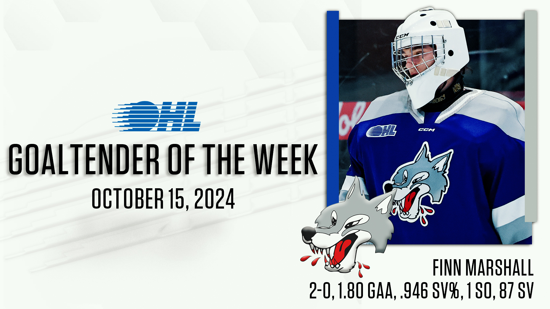 Wolves' Finn Marshall named OHL Goaltender of the Week - Ontario Hockey ...