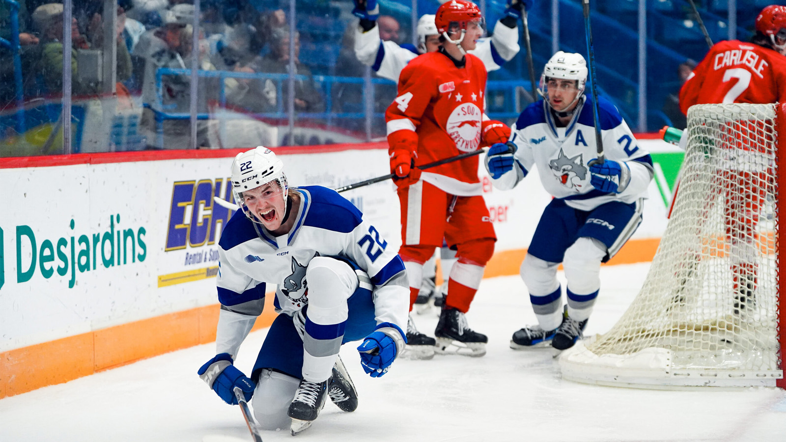 Wednesday Highlights: Wolves win northern clash over Greyhounds ...