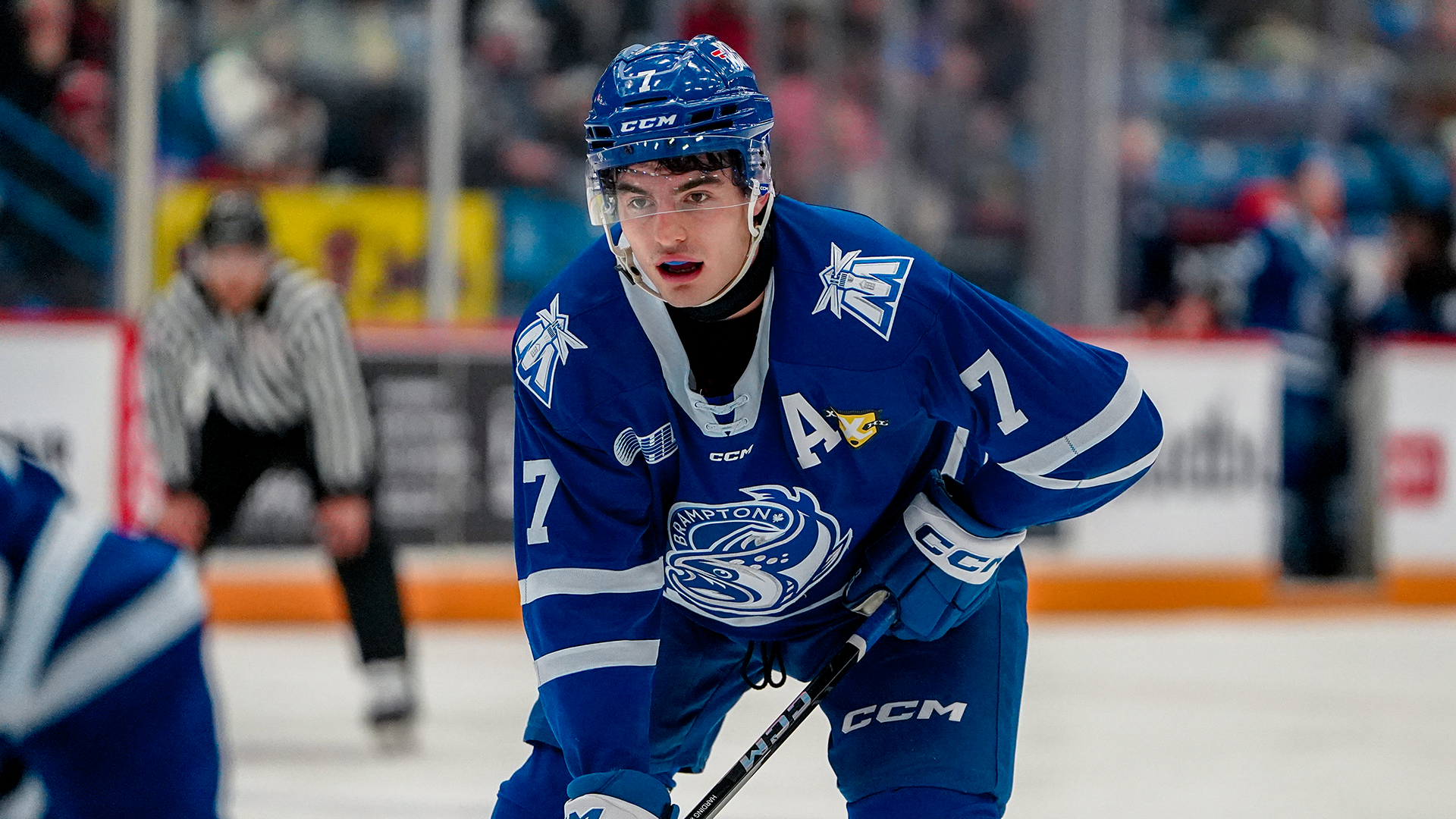 Saturday Highlights: Harding seals it for Steelheads in OT - Ontario ...