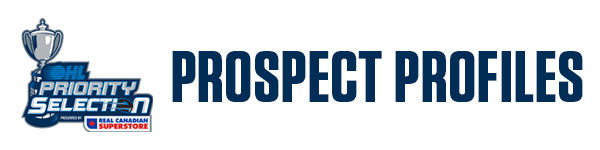 Rylan Fellinger OHL Official Prospect Profile