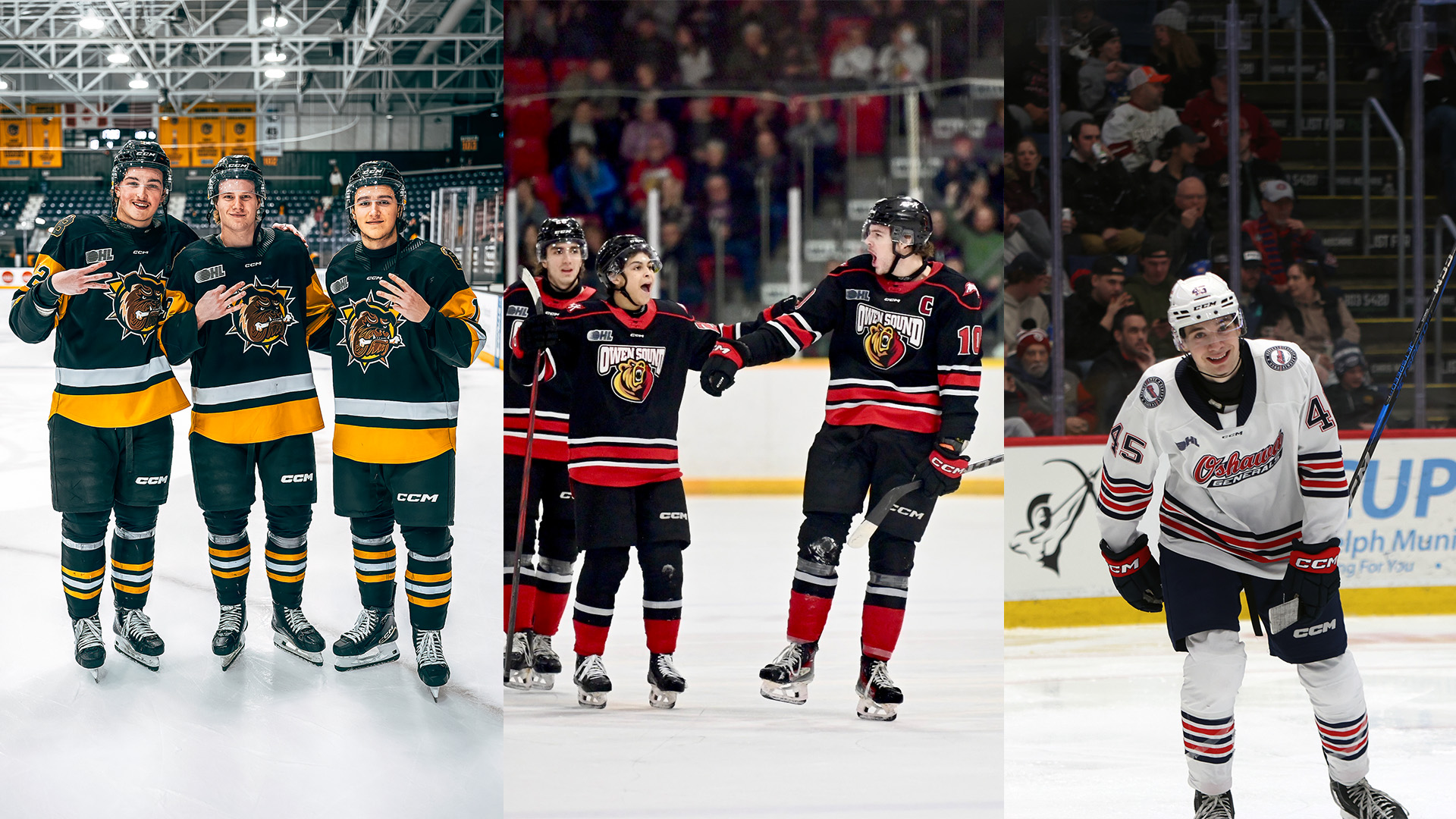 About the OHL - Ontario Hockey League