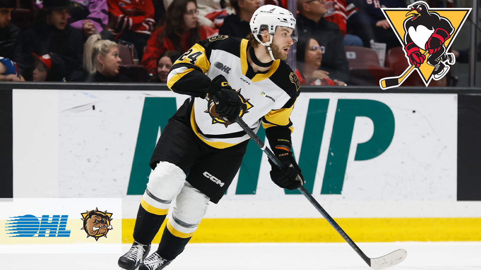 Bulldogs' Budnick signs with AHL's Wilkes-Barre/Scranton Penguins ...