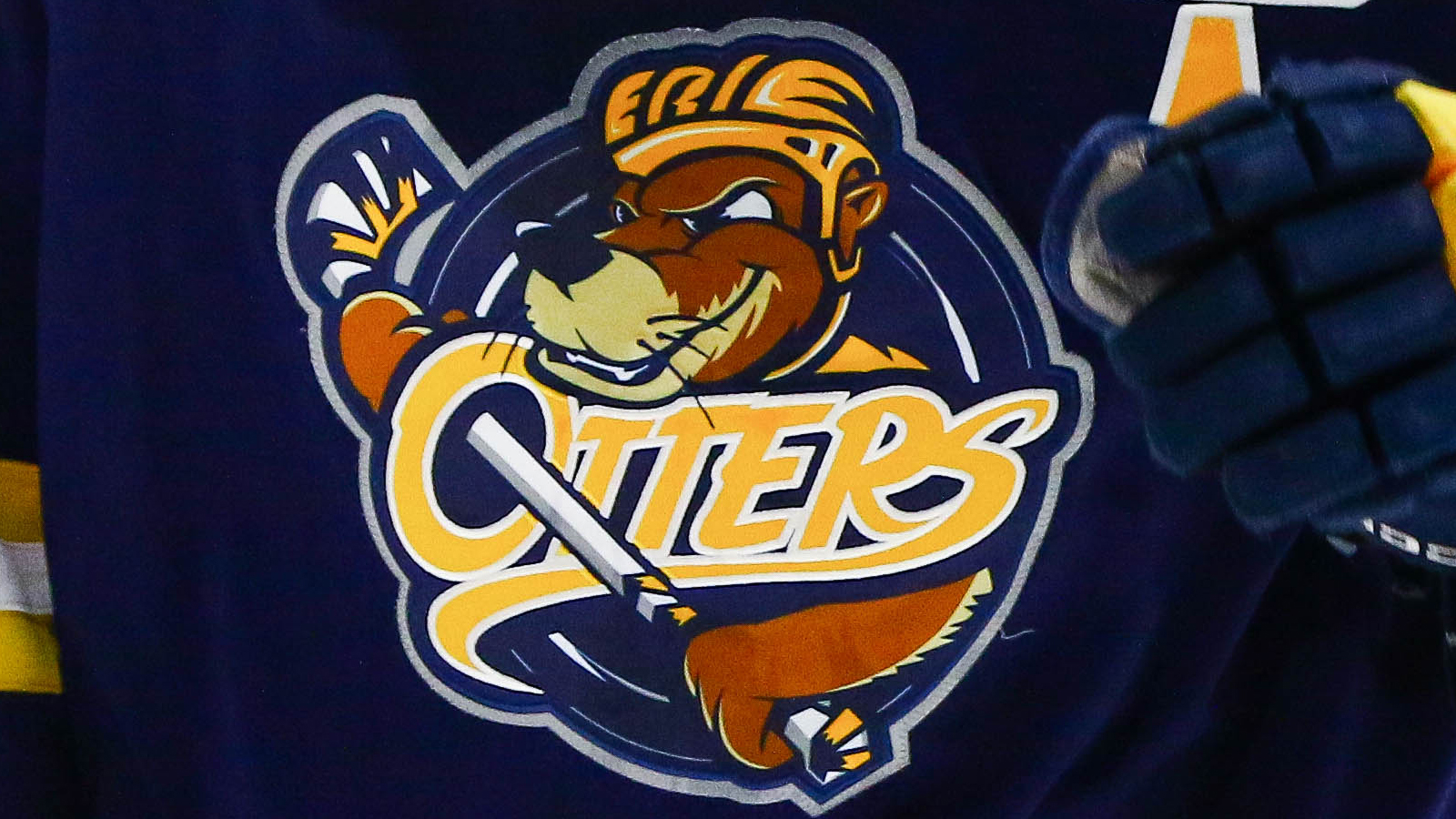 Otters announce changes in hockey operations - Ontario Hockey League