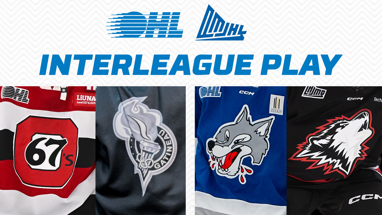 Sudbury Wolves 2024 - 25 Offseason Thread, Part I | Page 3 | HFBoards ...