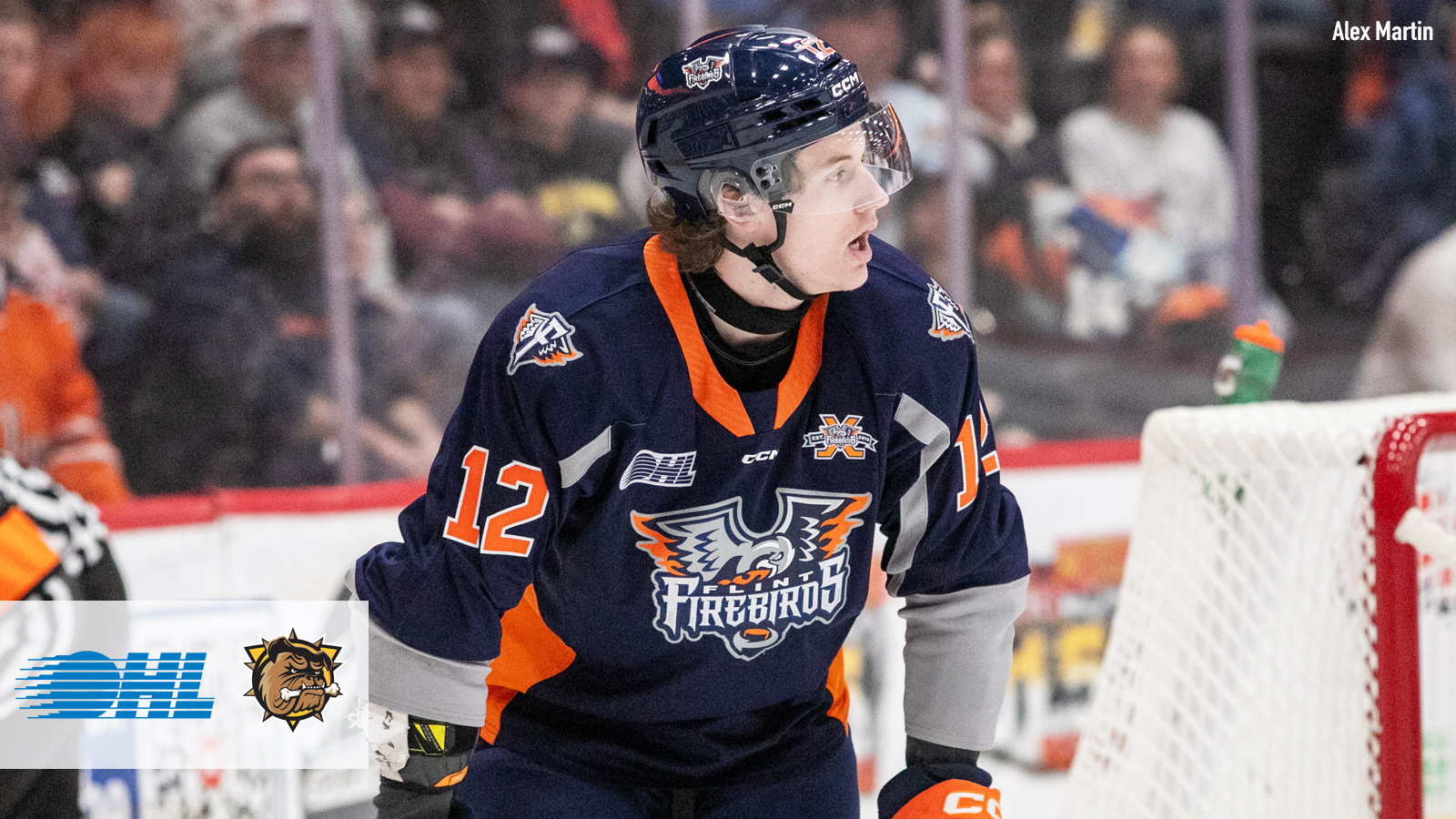 Bulldogs acquire McCue in first splash of offseason - Ontario Hockey League