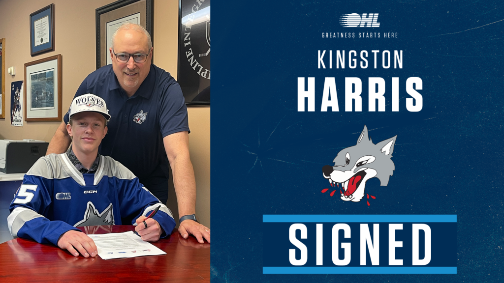 Wolves ink forward Kingston Harris - Ontario Hockey League