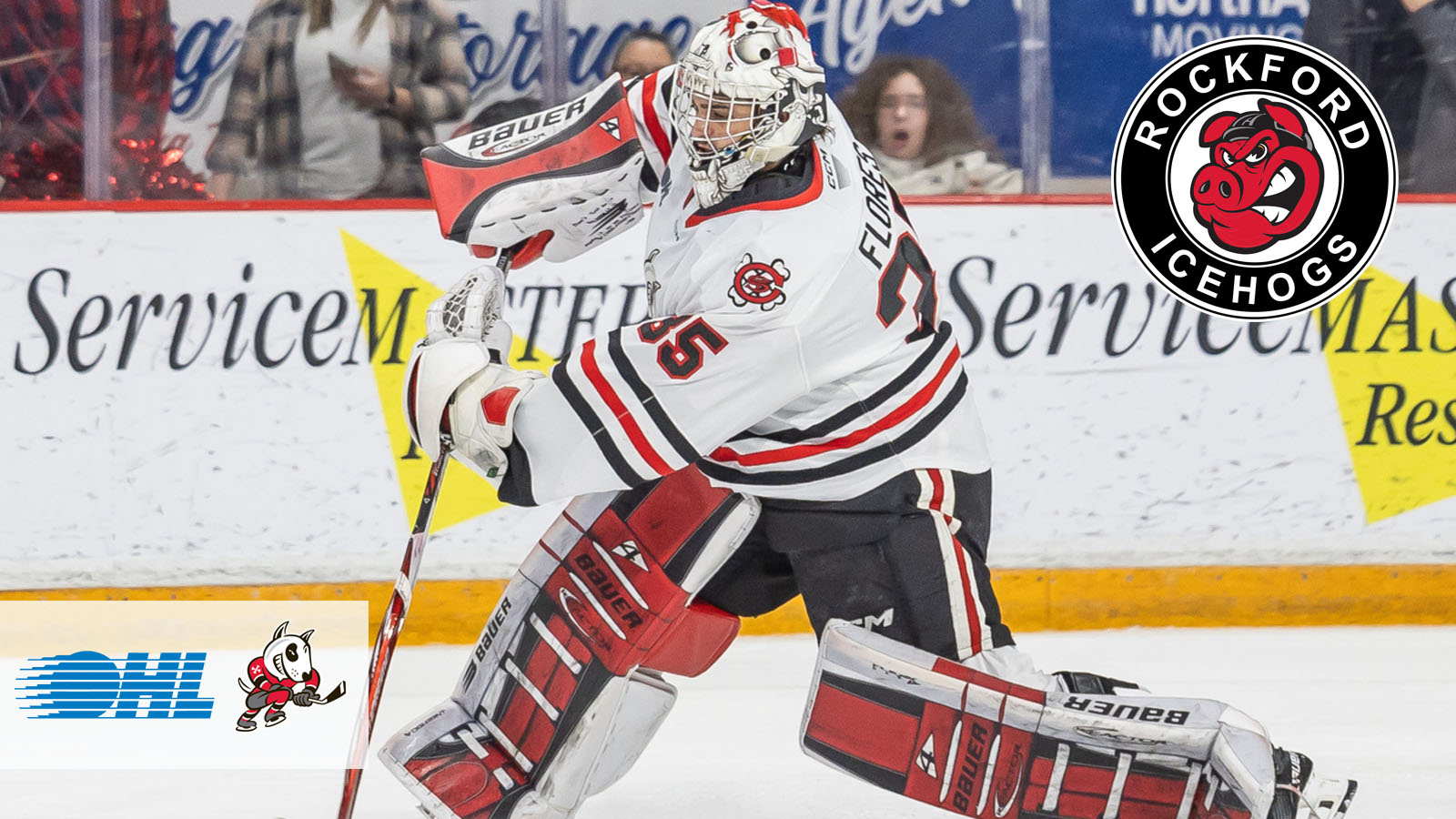 IceDogs' Flores signs AHL contract with Rockford - Ontario Hockey League