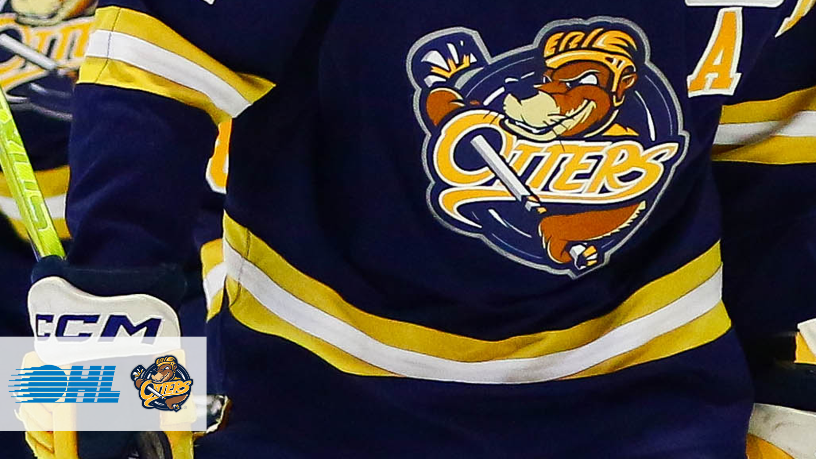 Erie Otters name Keenan Reynolds as Assistant Coach and Maegan Briant as Head Athletic Trainer ...