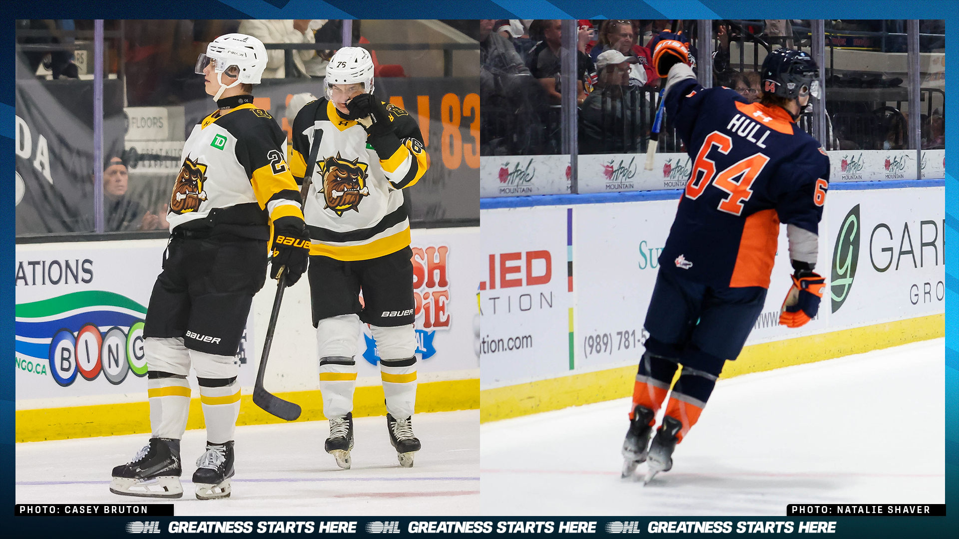 Saturday Highlights: Plenty of First Career OHL Goals - Ontario Hockey ...