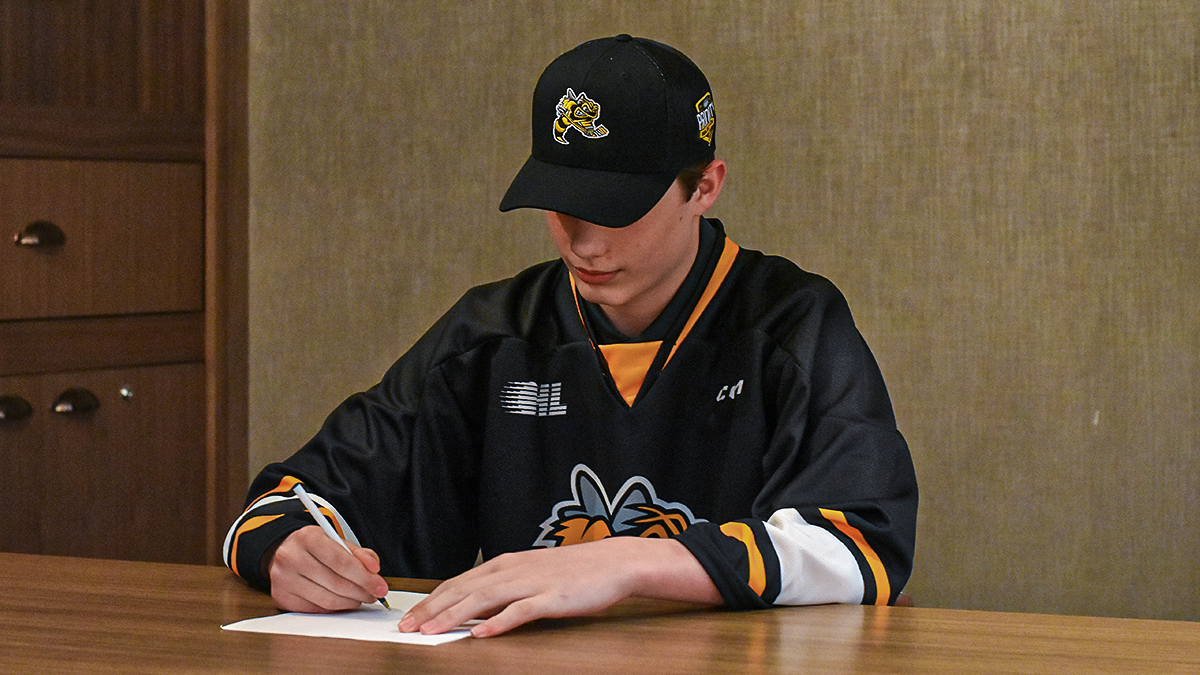 Sarnia Sting