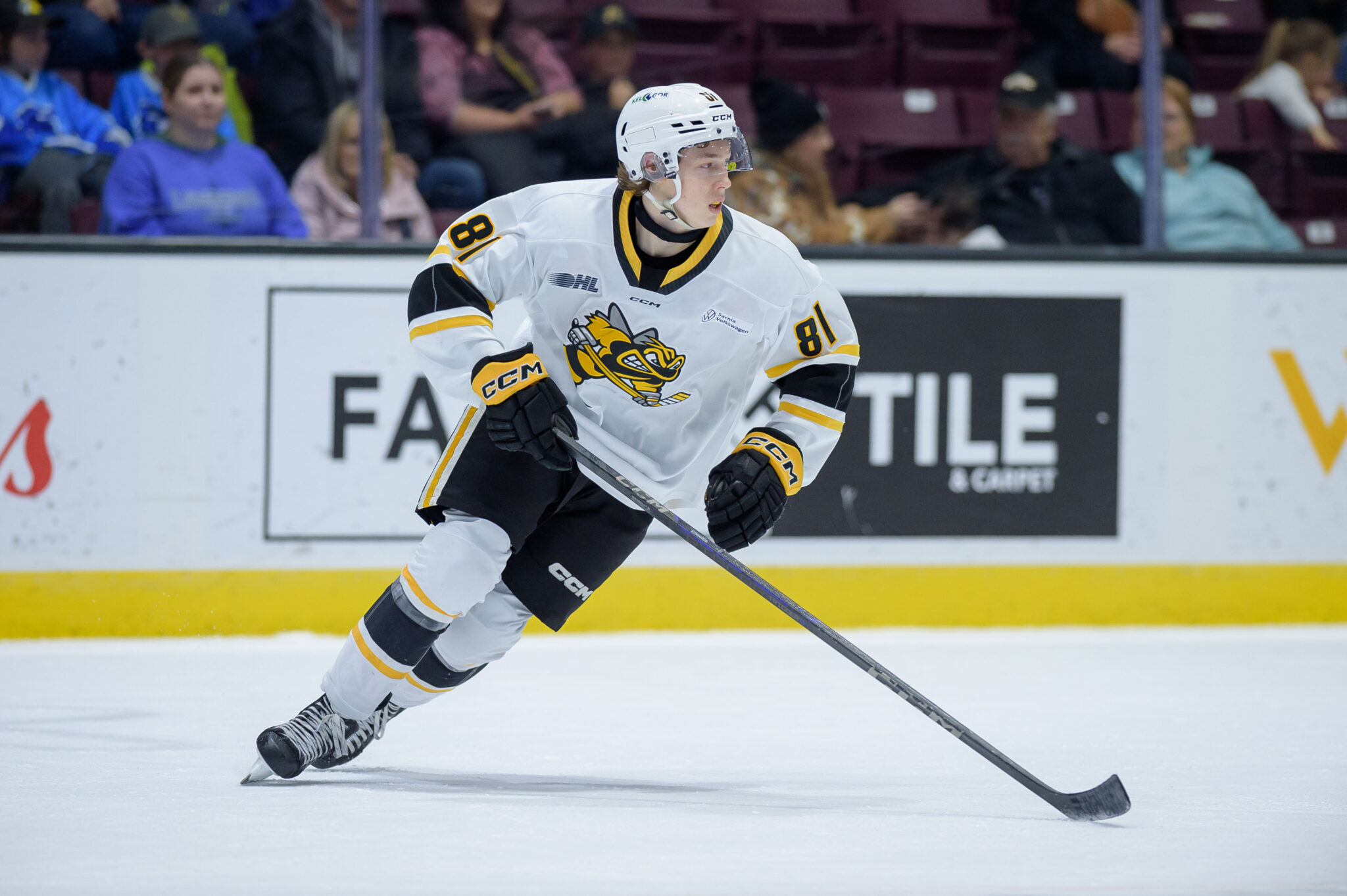Dynamic Duo: Di Iorio and Edwards Lead the Rookie Charge - Sarnia Sting