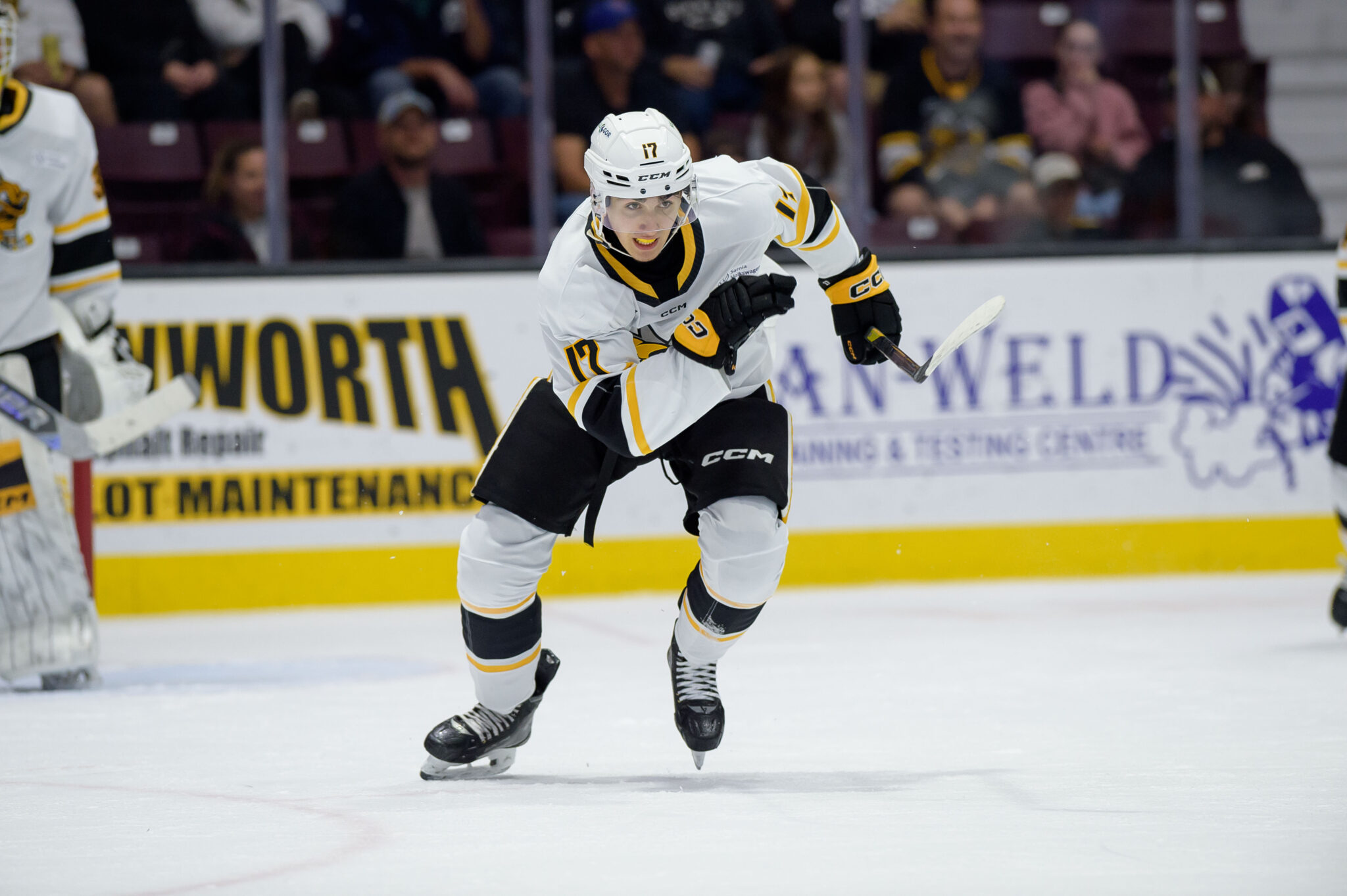 Dynamic Duo: Di Iorio and Edwards Lead the Rookie Charge - Sarnia Sting