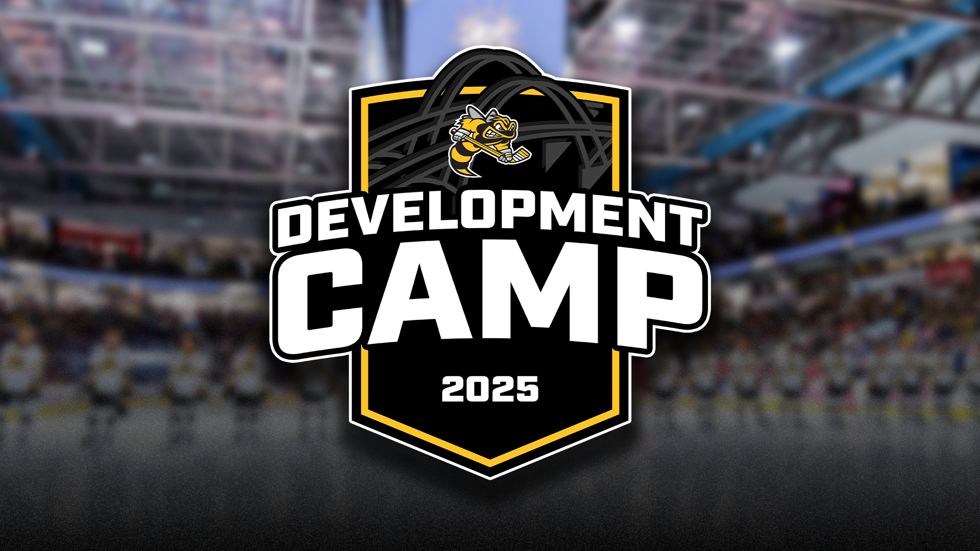 Sarnia Sting Set to Host 2025 Development Camp - Sarnia Sting