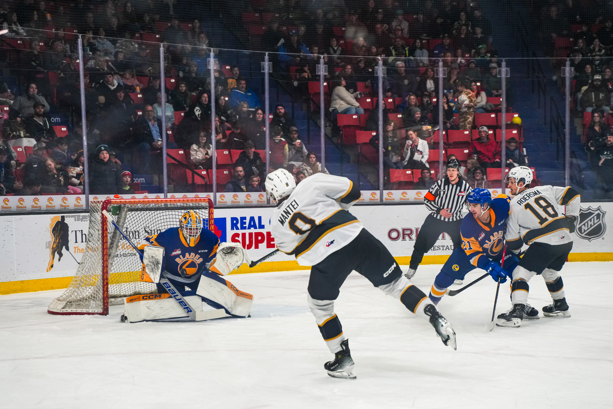 GAME 13 RECAP | Elliott's 40-save performance not enough in Blades loss ...
