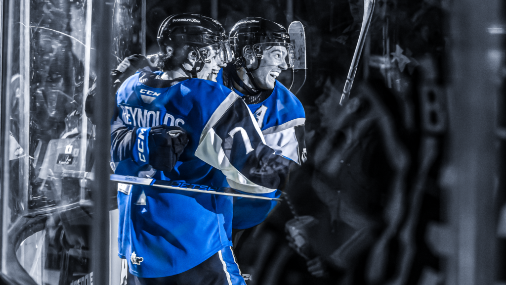 RECAP: Sea Dogs execute late comeback win over Mooseheads - Saint John ...