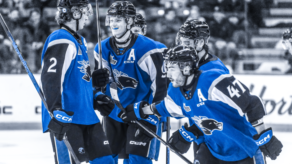 RECAP: Leaver stands tall, offence comes to life as Sea Dogs down ...