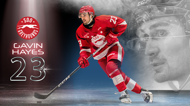 #23 Gavin Hayes - Tribute Video - Soo Greyhounds