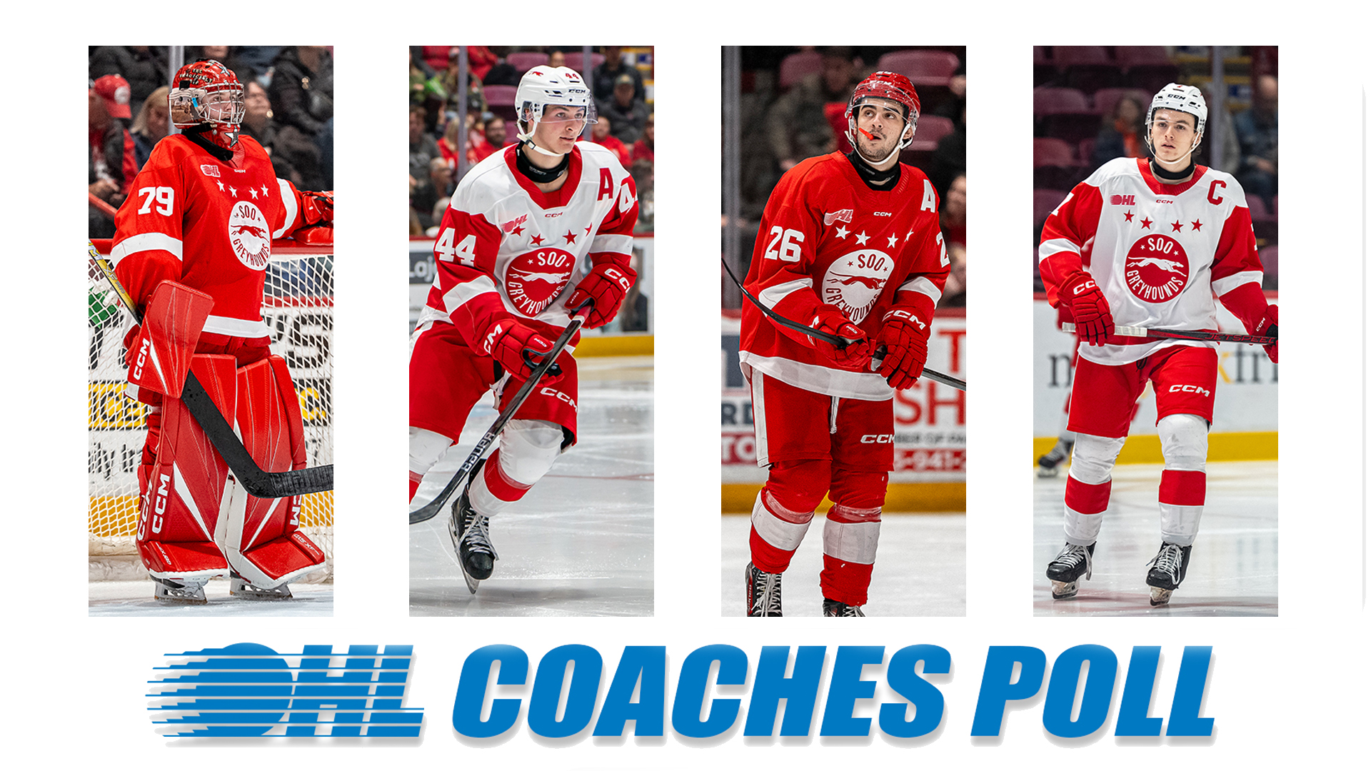 2024-25 OHL Coaches Poll Results - Soo Greyhounds