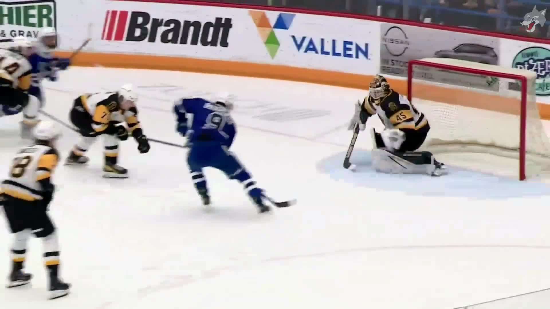 Game 35 Highlights: Wolves vs Bulldogs - Sudbury Wolves