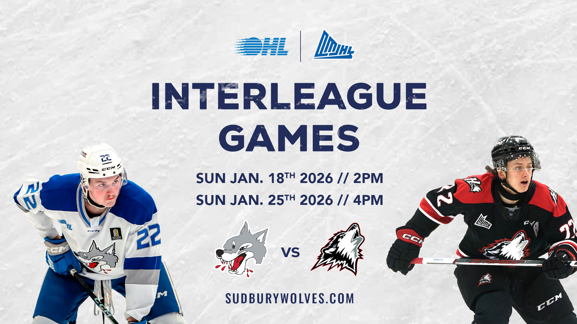 Sudbury Wolves