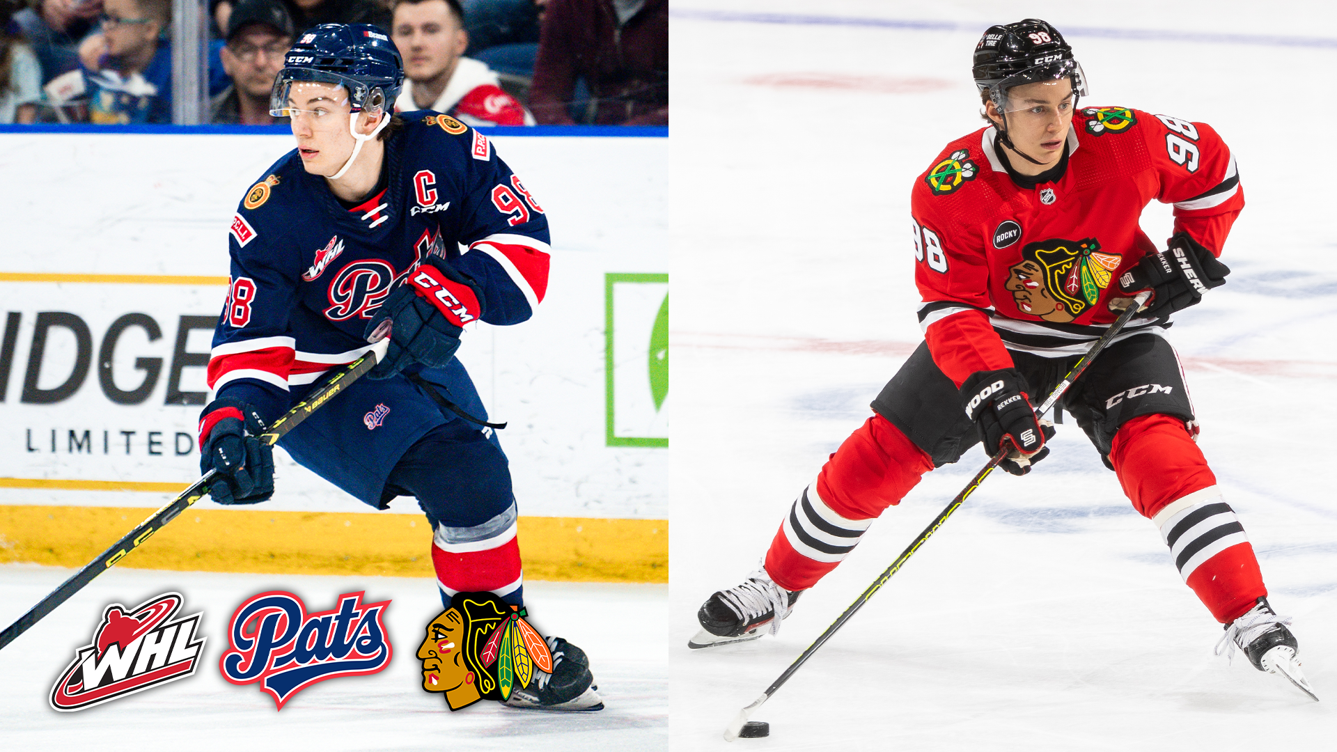 One Year Later: Connor Bedard dominating NHL ranks - Regina Pats