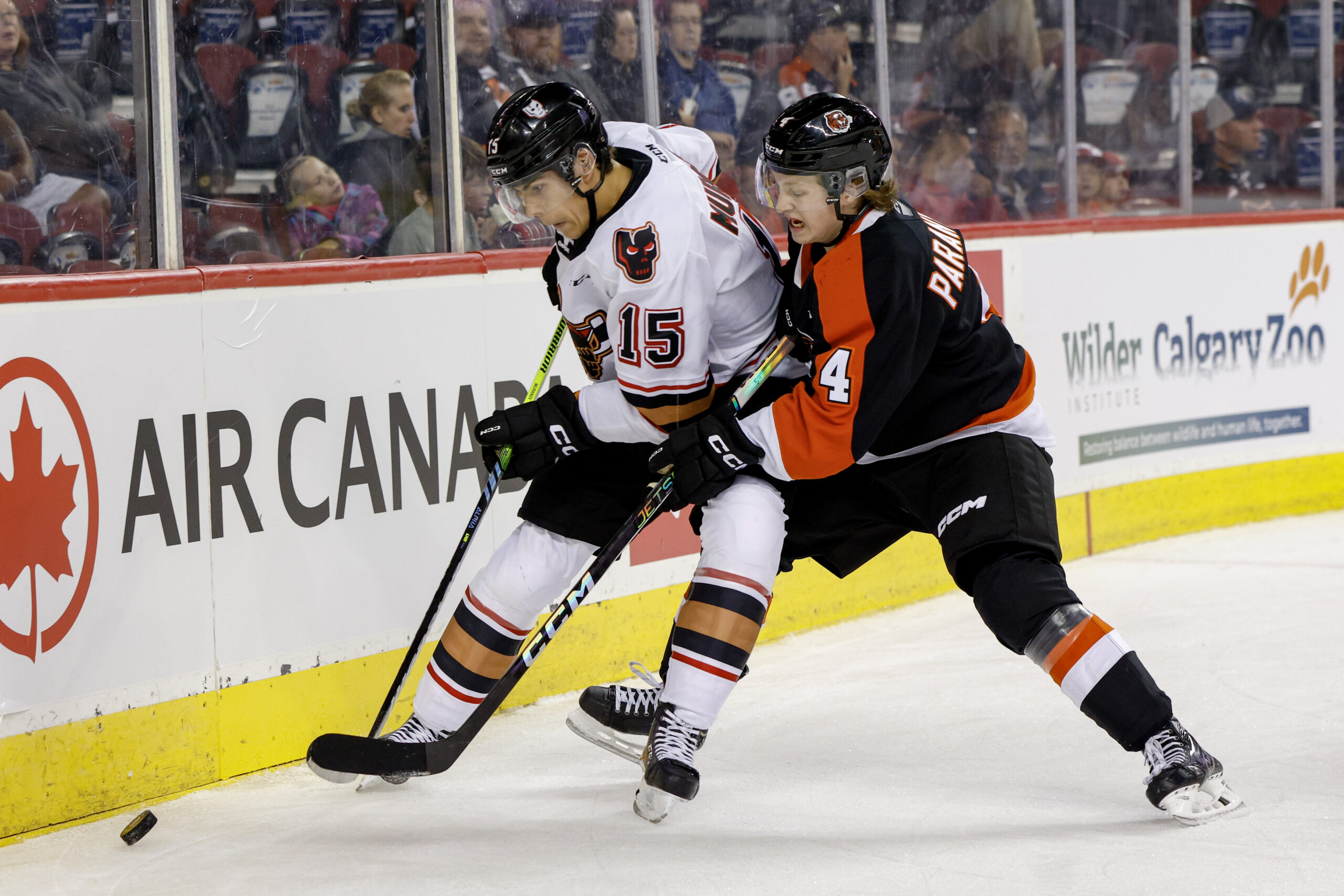 Special Teams help vault Tigers to opening night win over Hitmen ...