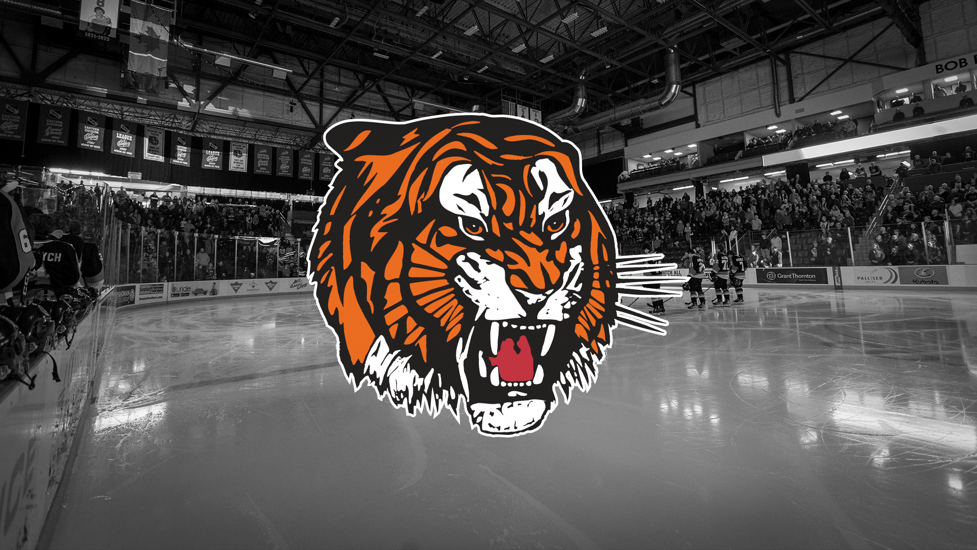 Tigers Statement on Memorial Cup - Medicine Hat Tigers