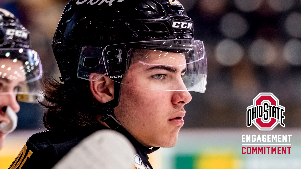 Les Tigres de Victoriaville